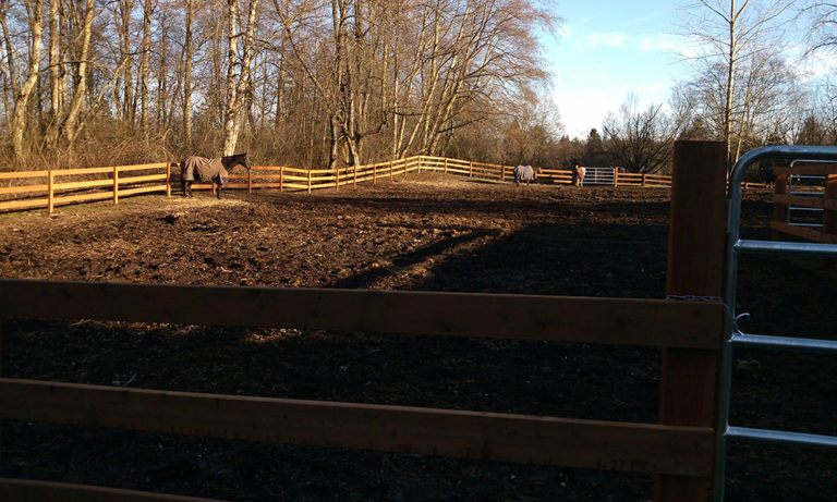 Pasture Fencing - Outside Services